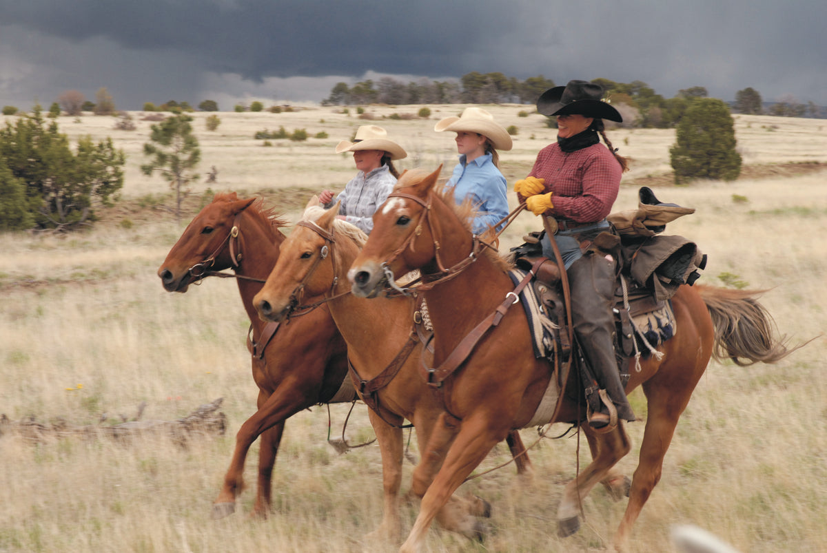 Riding by Faith from Mexico to Canada across America film clip – Tracey ...