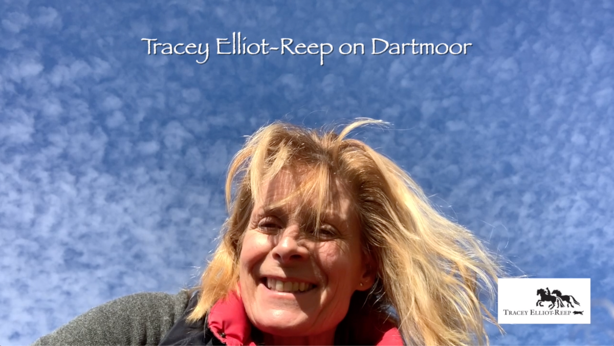 Sunbathing with my pony in February! – Tracey Elliot-Reep