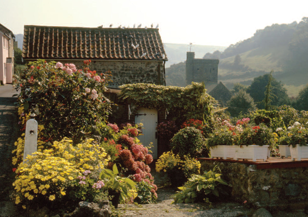 C193 Garden Door - Blank Card - Rectangle – Tracey Elliot-Reep